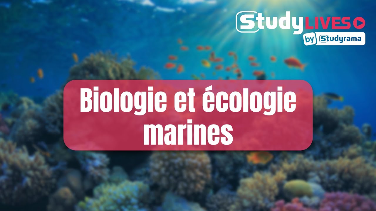Photos De Biologiste Marin