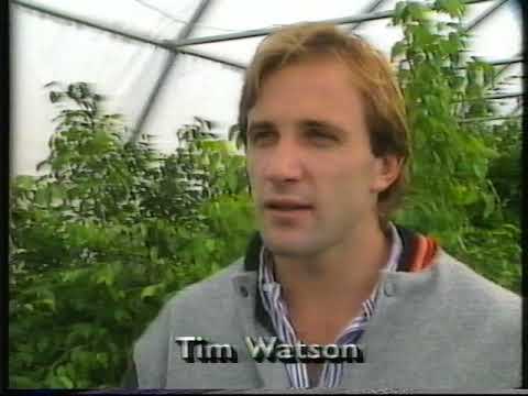 1990 - Tim Watson 250 games news report - YouTube