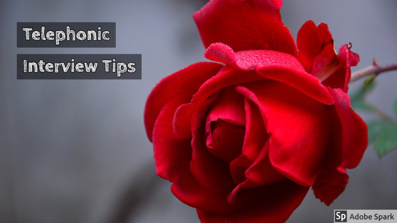 Tips to attend telephonic Interview - YouTube