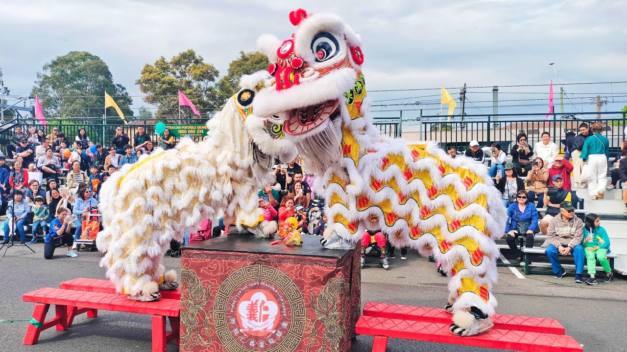 MOON Festival 2024 CABRAMATTA Sydney - Traditional Lion dance ...
