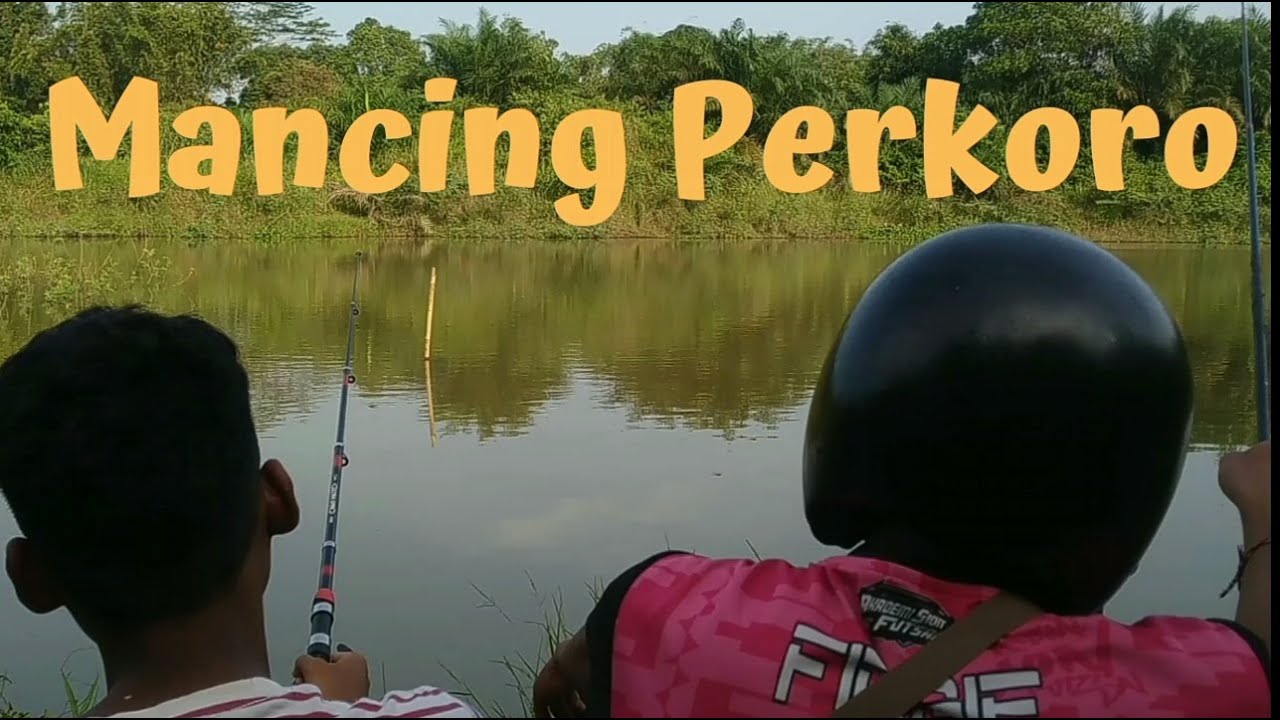 Mancing perkoro - YouTube