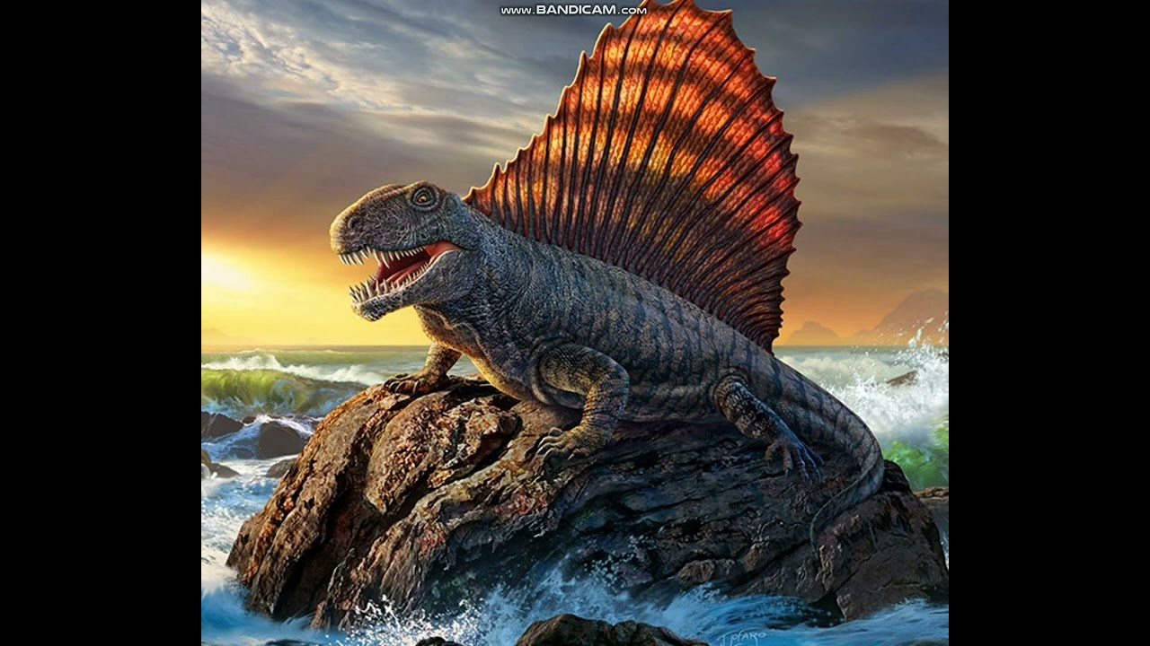 Dimetrodon Sounds (Remake) - YouTube