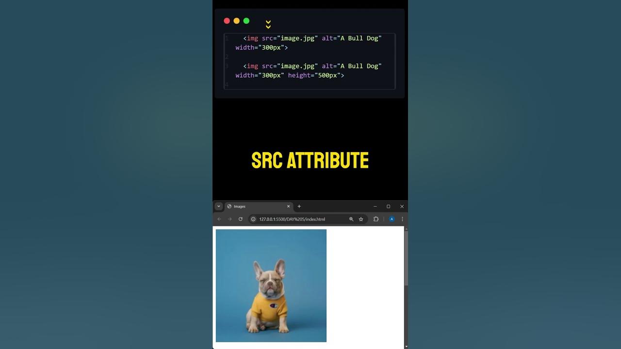 Day 5 Of 30 Days Of Html And Css🚀 Image Tags Learntocode Learntocode Webdevelopment Css