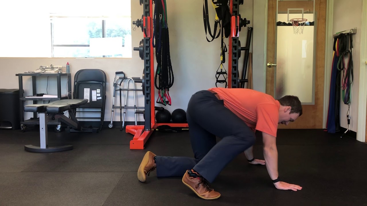 Cat/Cow Full Progression - YouTube