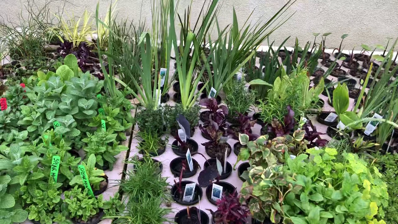 Build a floating plant island! - YouTube