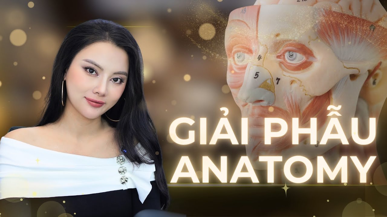 Anatomy With Cici - Giải Phẫu Cùng Cici - YouTube