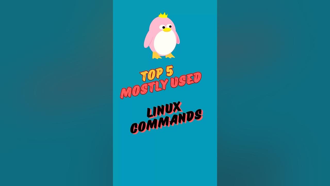 Top 5 Linux Commands Used by System Engineers SRE #linuxadministrator #systemadmin #linuxsystem ...