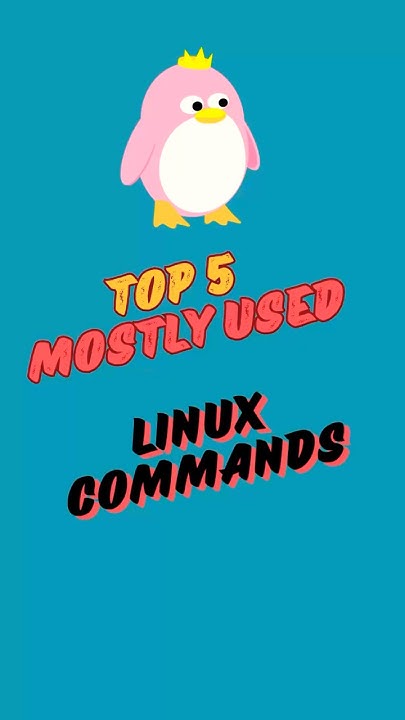 Top 5 Linux Commands Used by System Engineers SRE #linuxadministrator #systemadmin #linuxsystem ...