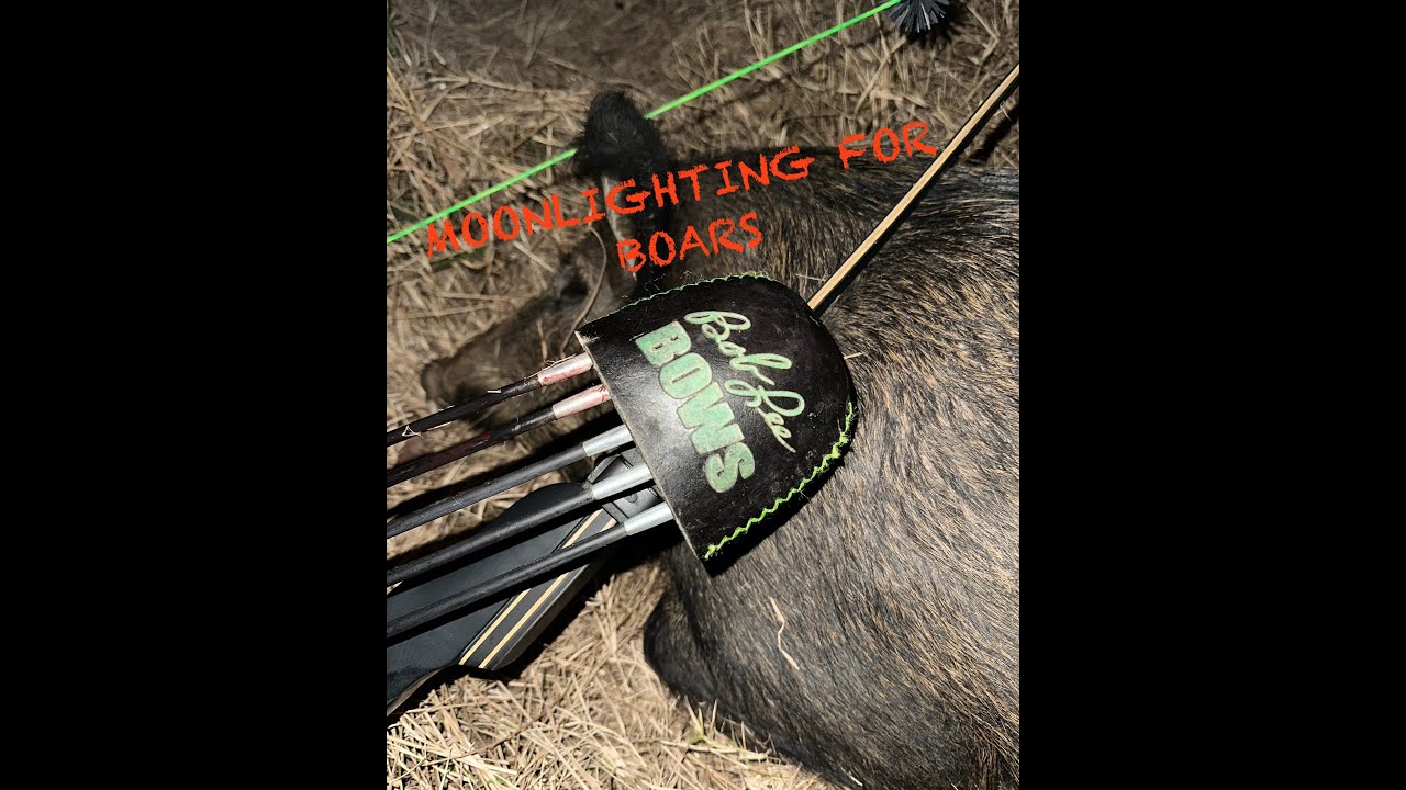 MOONLIGHTING FOR BOARS///Traditional bowhunting///hog hunting with a ...