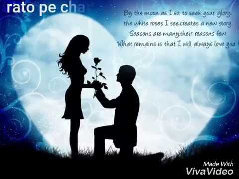 New Whatsapp Video Status WHATSAPP status short video love songs old songs