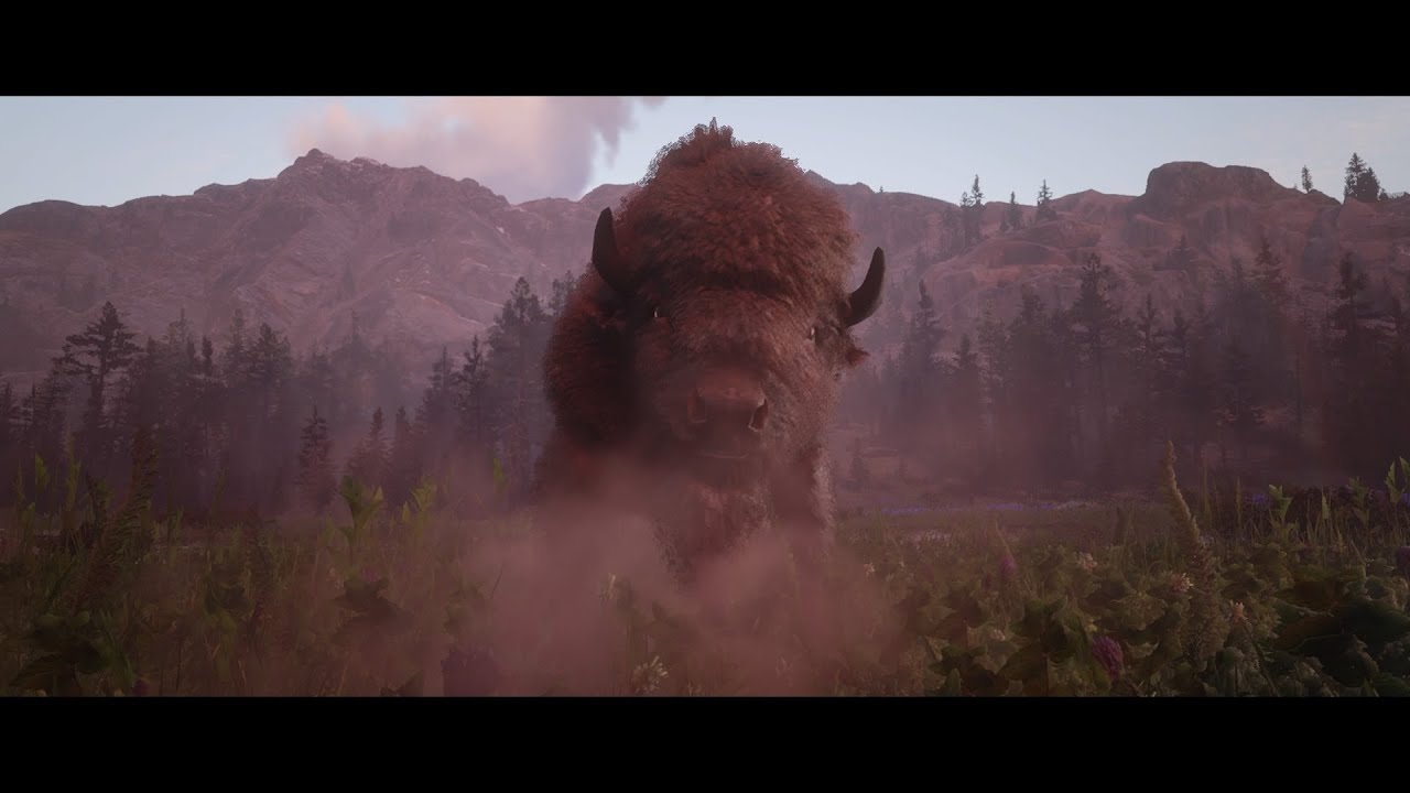 RDO legendary Payata Bison - YouTube