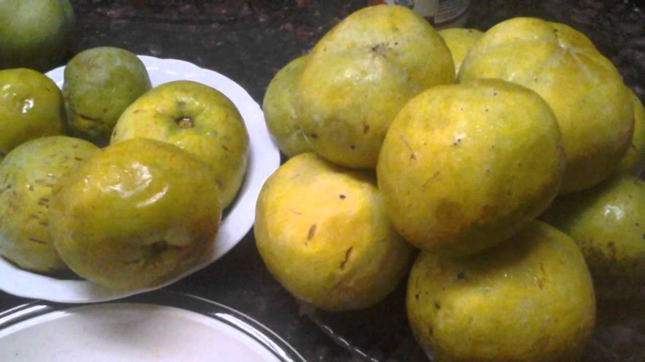 White sapote fruit - YouTube