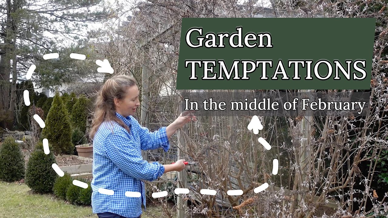 Garden TEMPTATIONS in the Middle of February! - YouTube