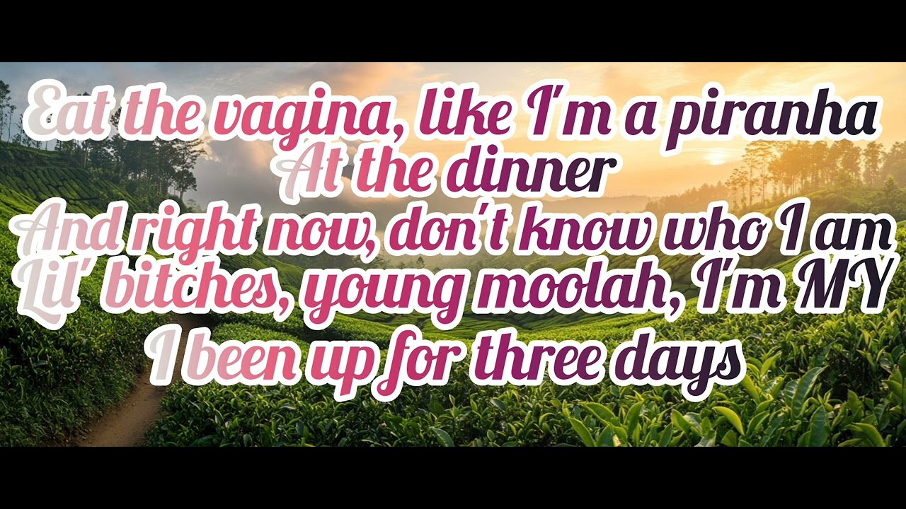 Mike Will Made-it-Higher featuring lil Yachty and lily Wayne ( lyric ...
