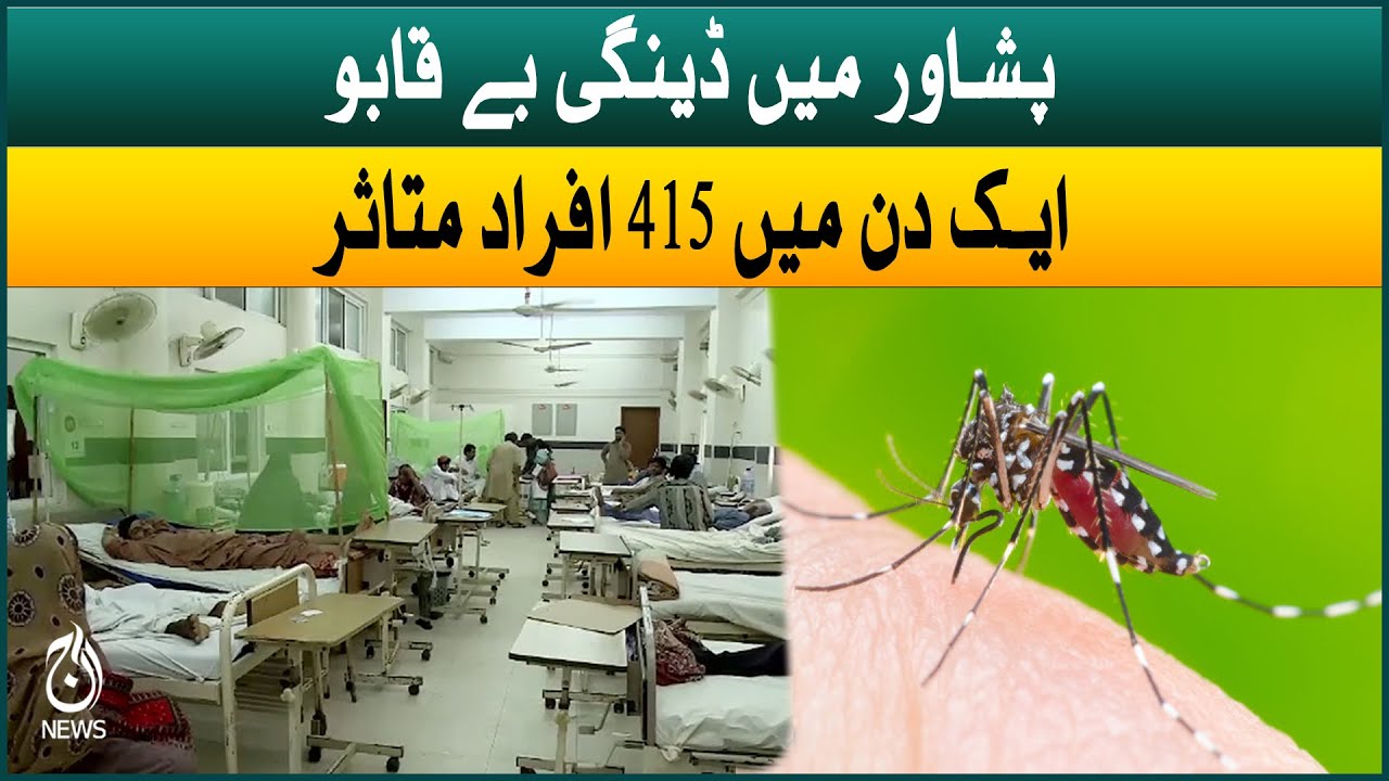 Dengue outbreak | Alarming situation for the people of Peshawar | Aaj ...