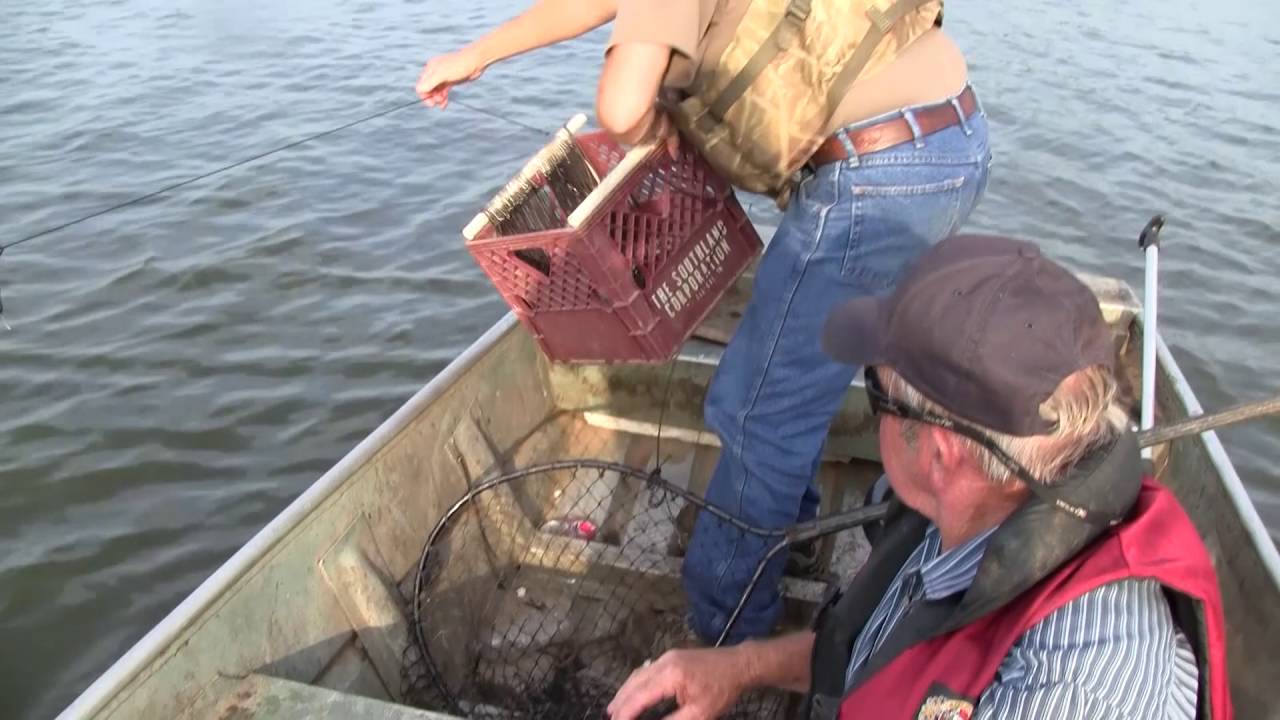 Redneck Trotlining in Northeast Texas - YouTube