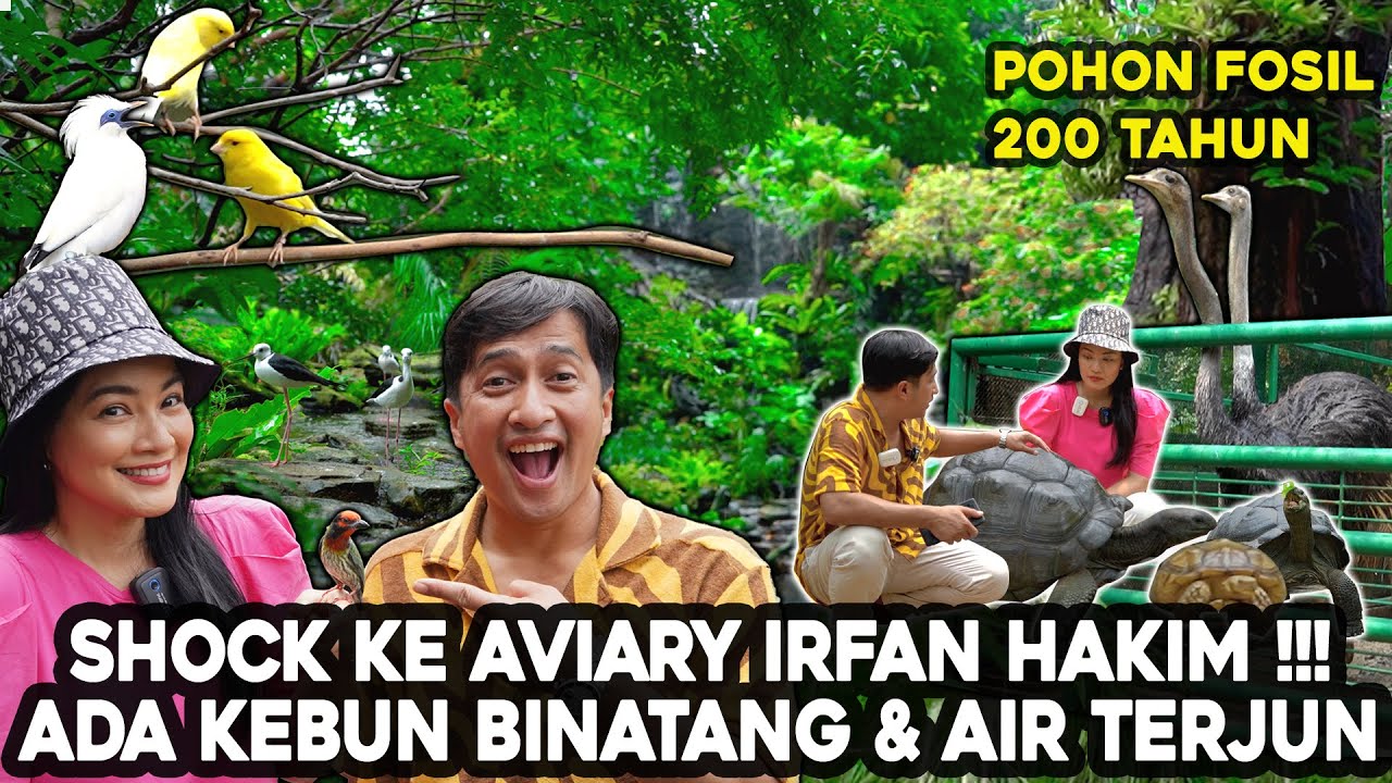 TITI SHOCK DI AVIARY IRFAN HAKIM LIHAT AIR TERJUN & KEBUN BINATANG MINI! - YouTube