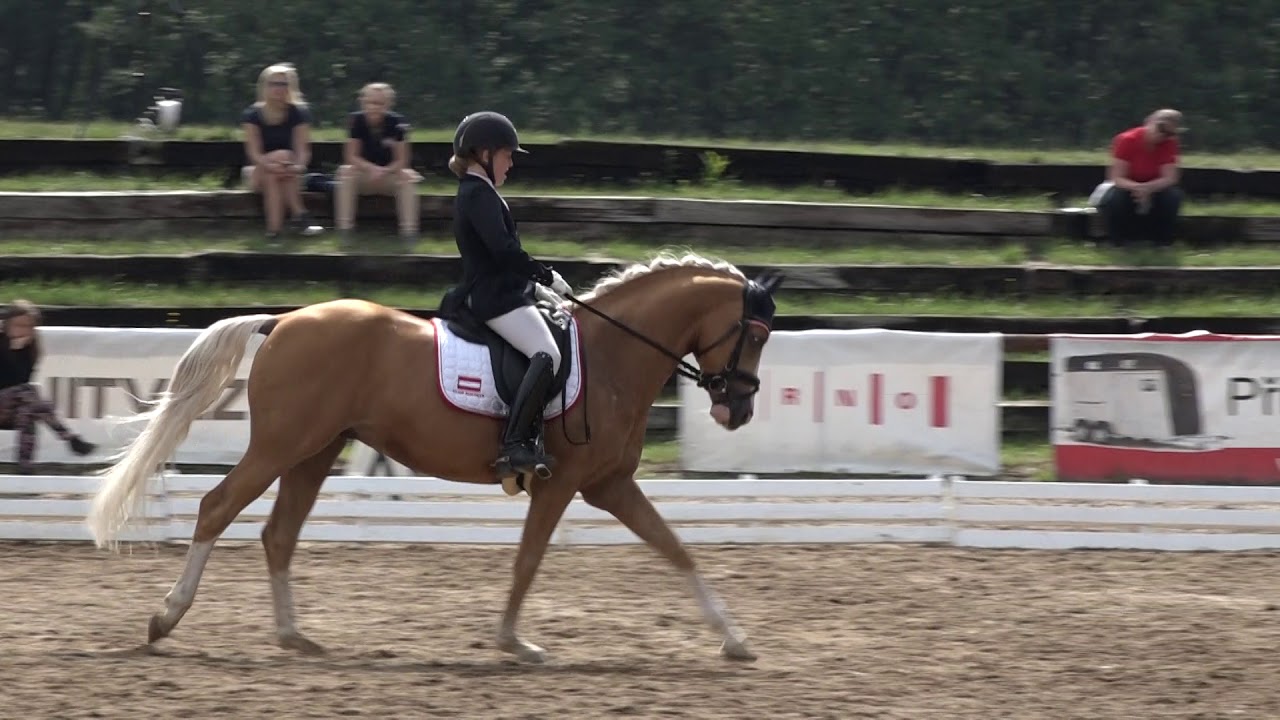 Lilly Messner - HELIOS B - Freestyle Pony – CDI Brno 2018 - YouTube