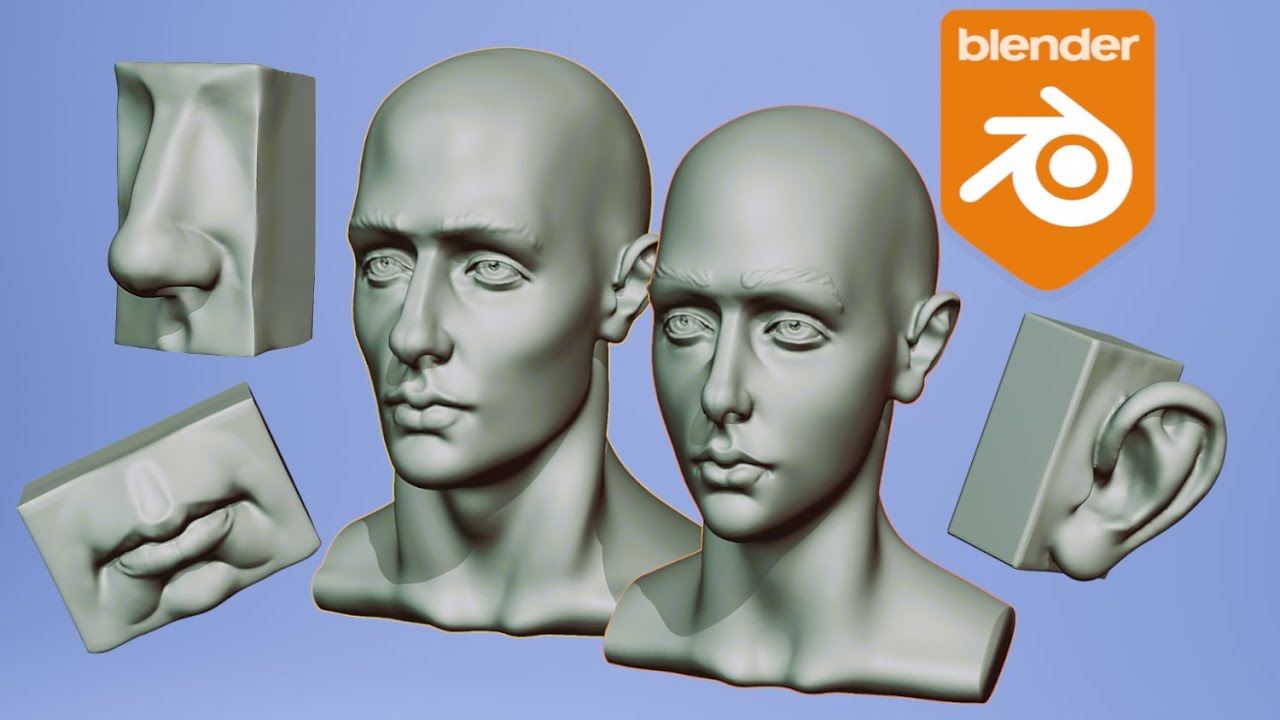 Modelado en Blender de cabezas realistas - Anatomía de retratos en 3D ...