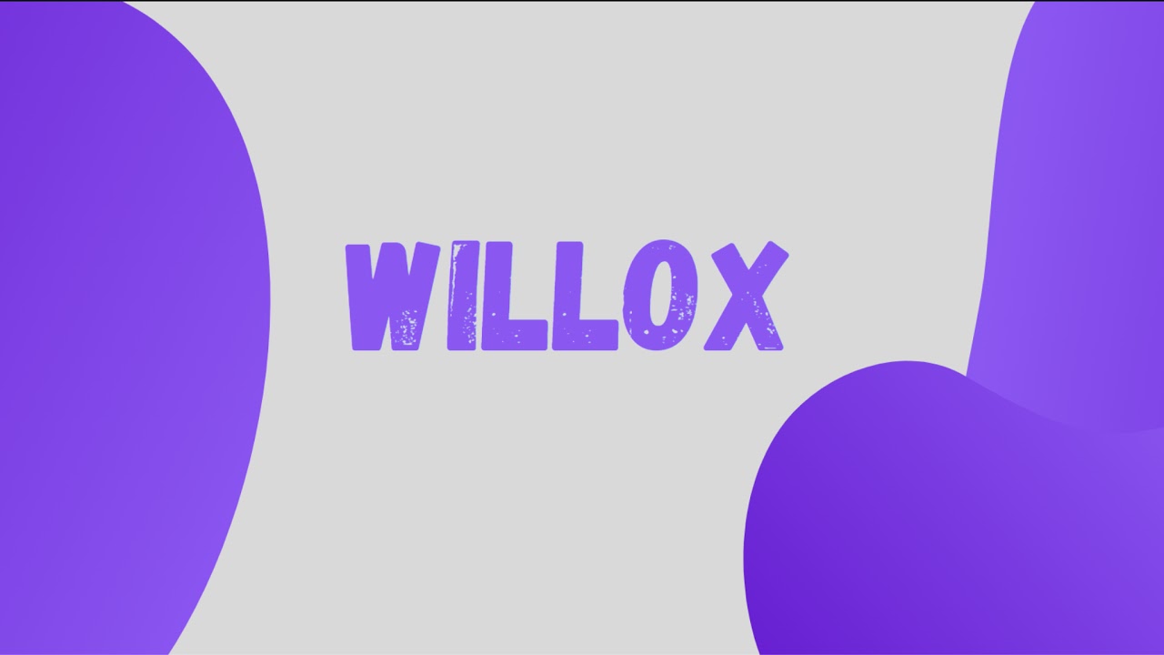 Diffusion en direct de WILLOX ™ - YouTube