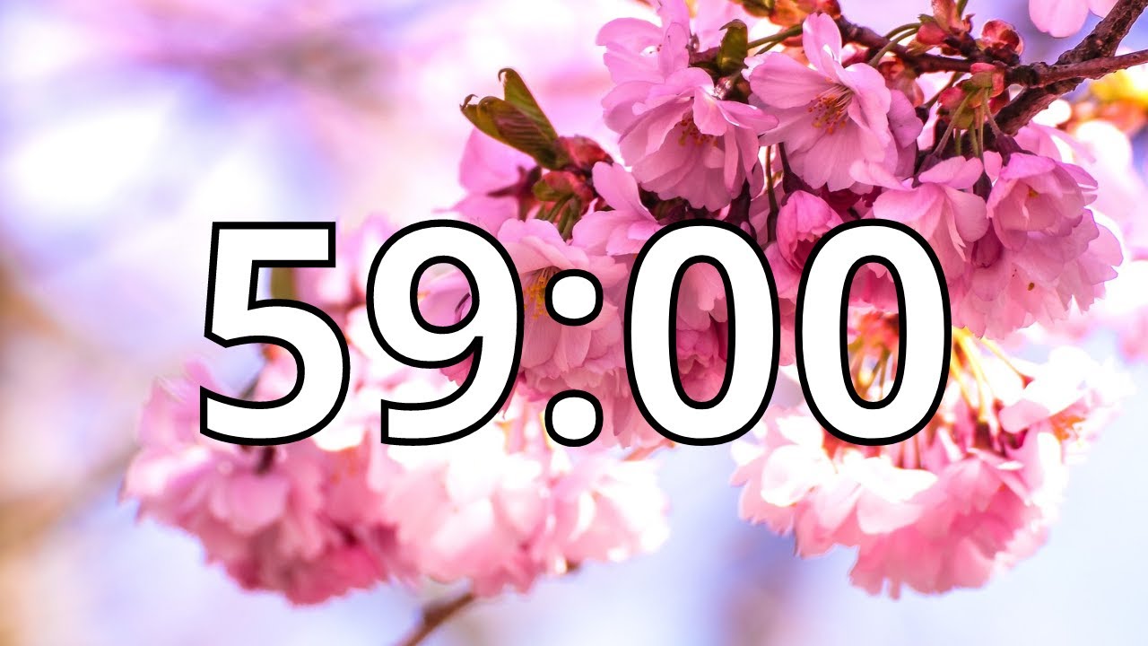 59 Minutes Timer with Music | Cherry Blossom Timer - YouTube