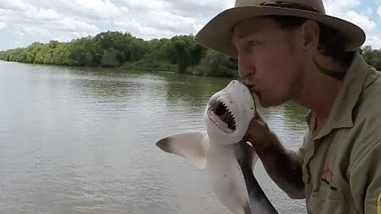 Kissing a Bull Shark on the Adelaide River! || ViralHog - YouTube