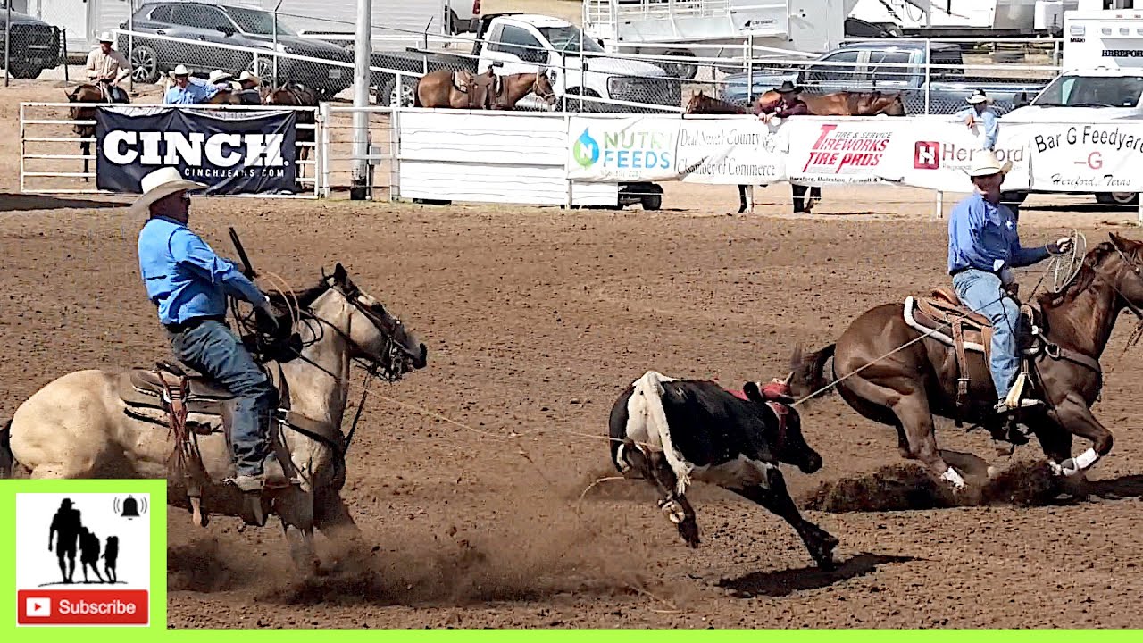 14.5 Team Roping Short Round - 2024 Spicer Gripp Memorial Roping - YouTube