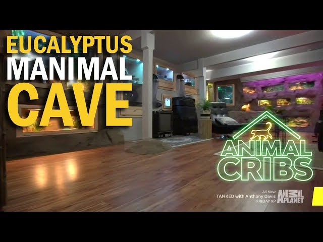 Animal Cribs Tv Show 60 Photos - Moonagedaydream.film