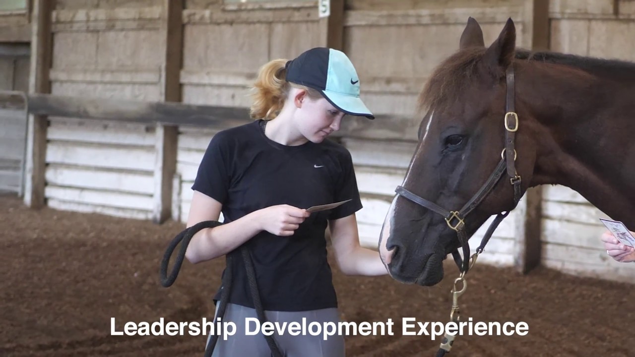 Full Stride Leadership - Leadership Development - YouTube