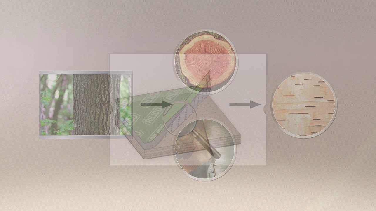 Magical Film Faced Plywood and How it’s Produced. Reusable 30-100 Times ...