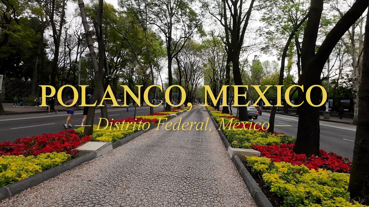 WALKING TOUR POLANCO, MEXICO DF. CHAPULTEPEC FOREST, BIKERS. RUNNERS ...