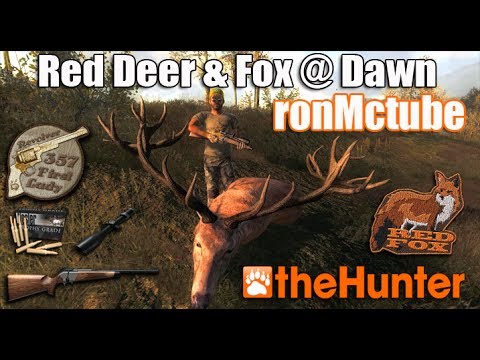 theHunter Red Deer & Red Fox @ Dawn - YouTube