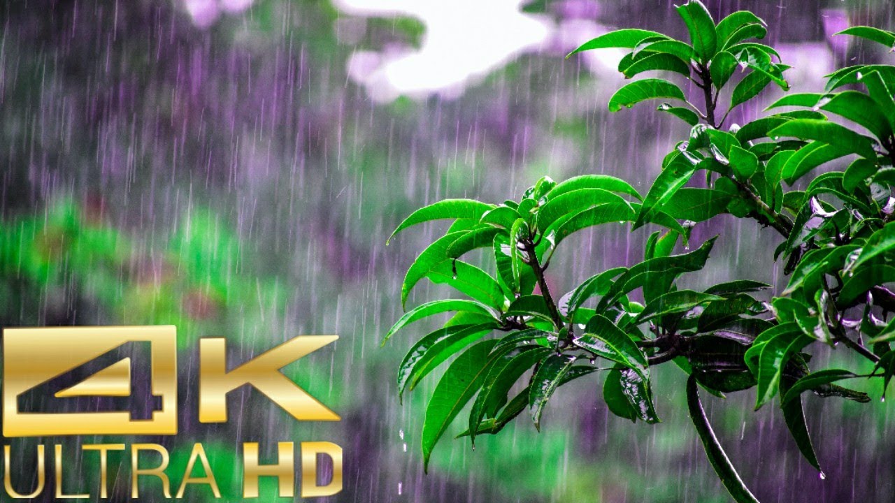 RAINING SCENES | 4K | ULTRA HD VIDEO - YouTube