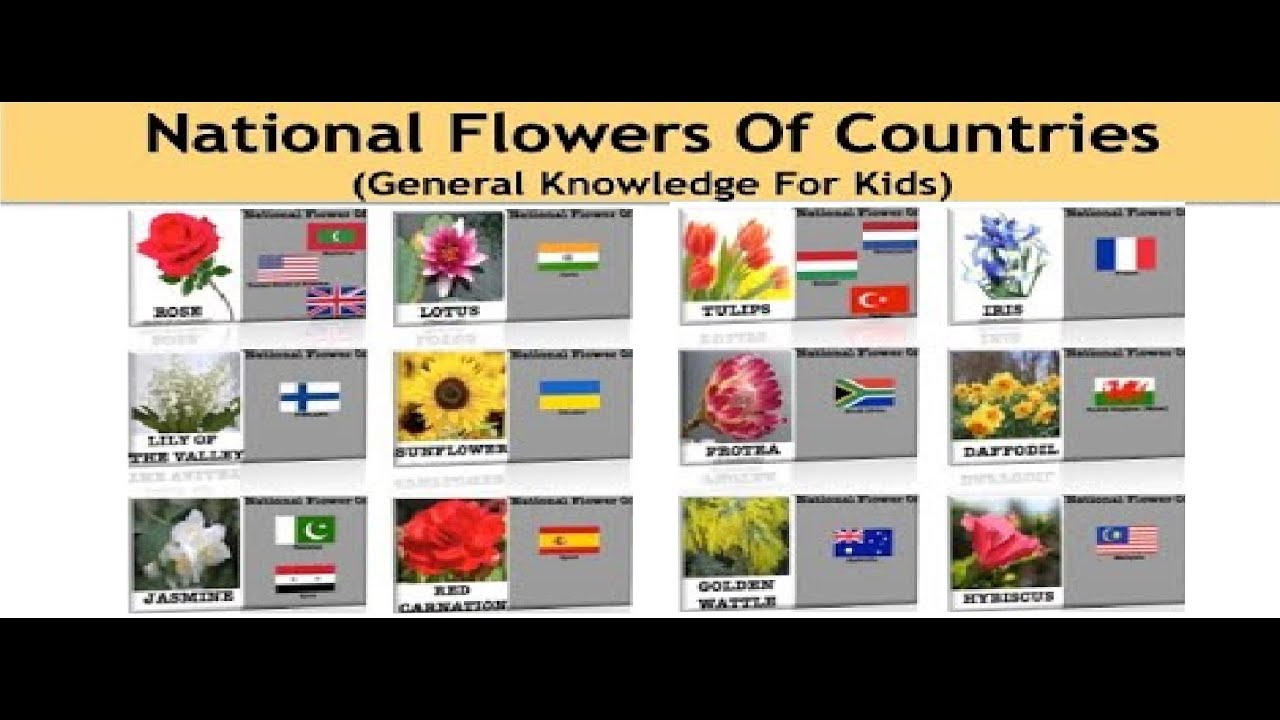 National Flower of Countries | Countries and National Flower | World ...