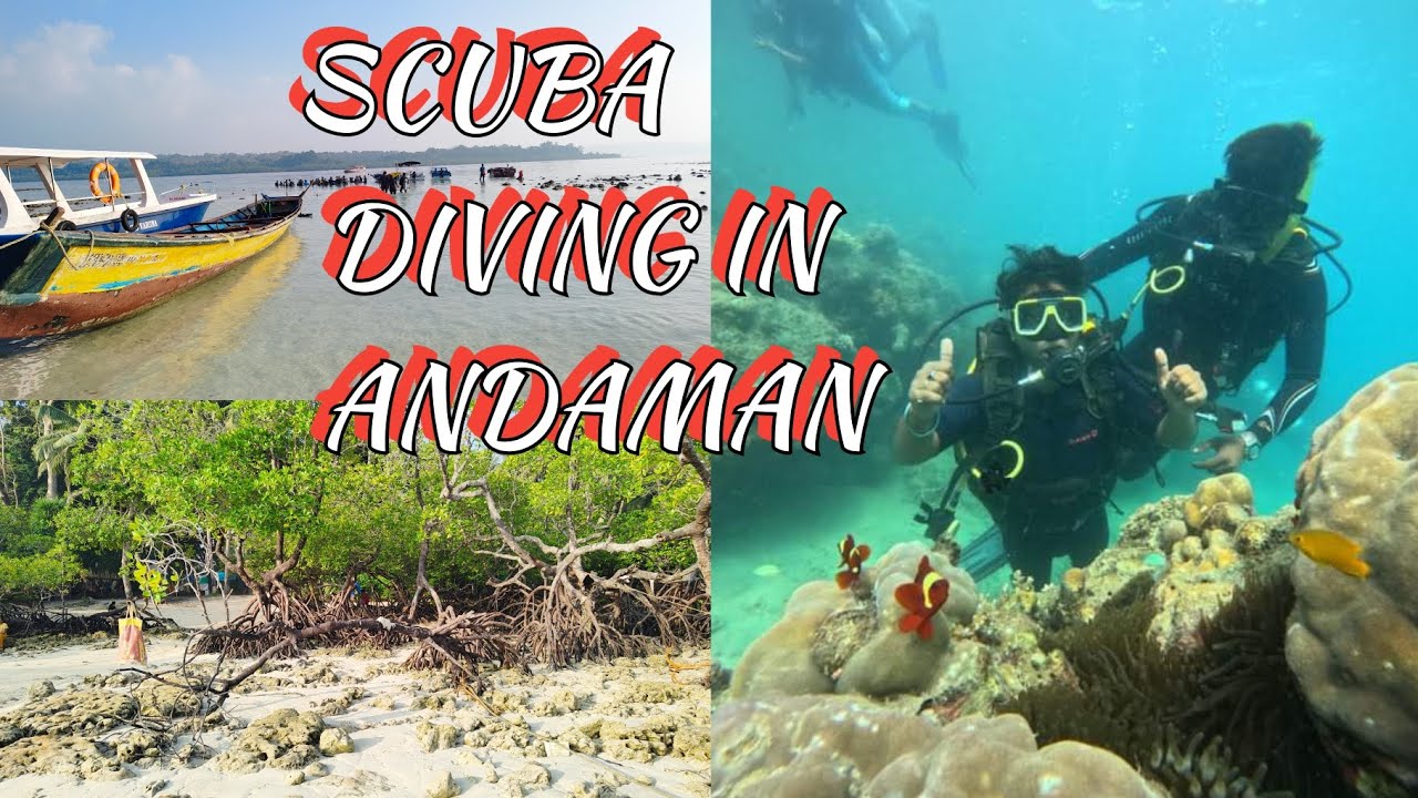 ANDAMAN SCUBA DIVING 🤿 | ANDAMAN water activities| Best experience in ...