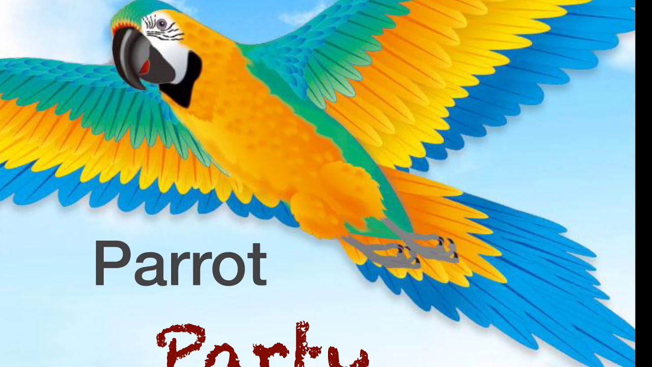Parrot Party - YouTube