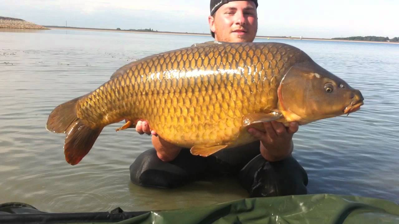 Carpe au lac de la forêt d'orient !!!!! - YouTube