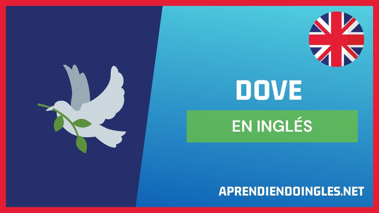 CÓMO se dice DOVE en INGLÉS 2023 🚀 APRENDE A ESCRIBIR DOVE ...