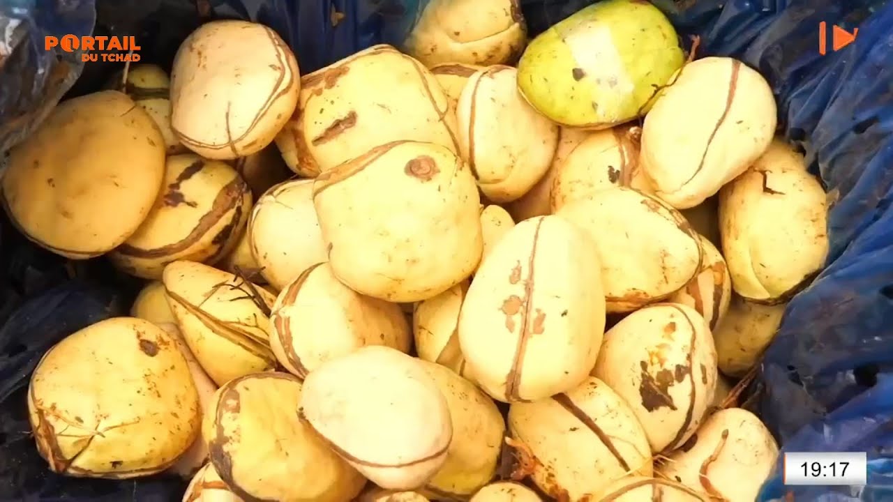 SOCIÉTÉ - La consommation de la Cola - YouTube