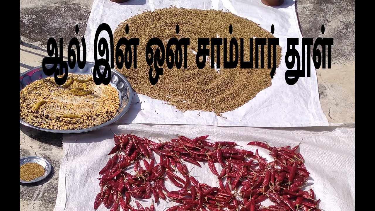 All in one milagai thul / in Tamil recipe - YouTube