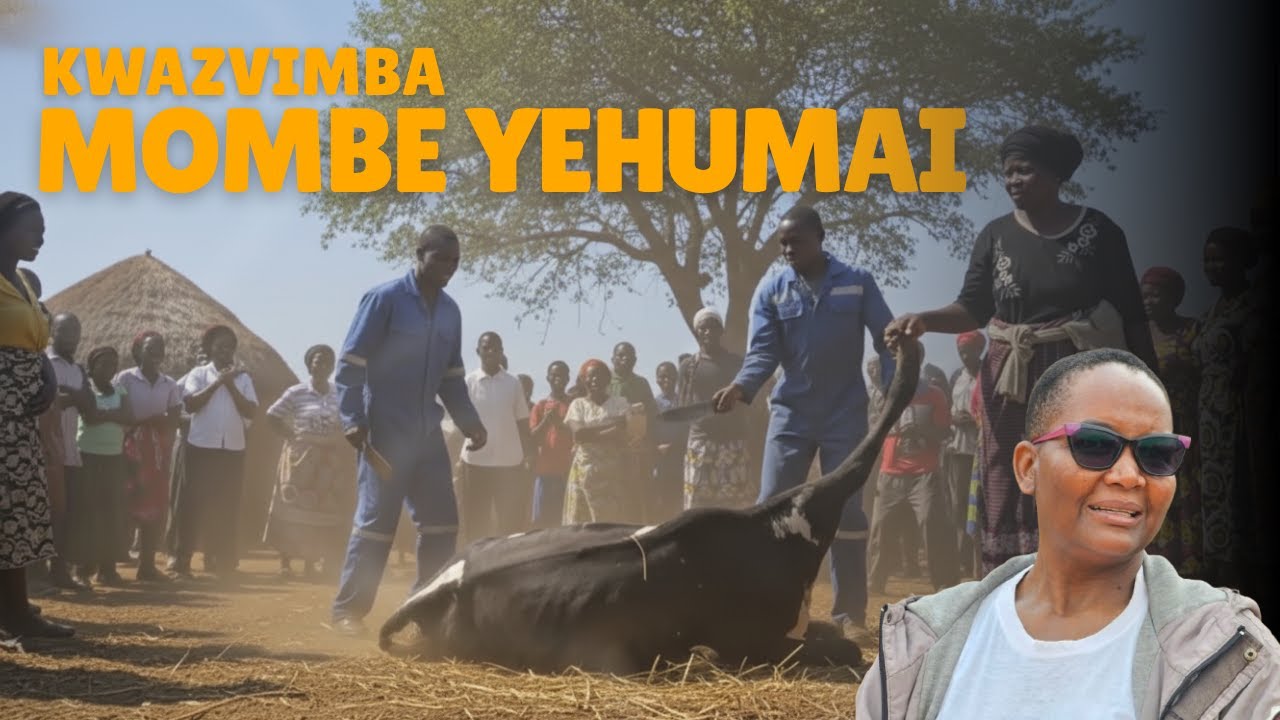 Trip to Zvimba for Mombe yeHumai (Toita madiro) - YouTube