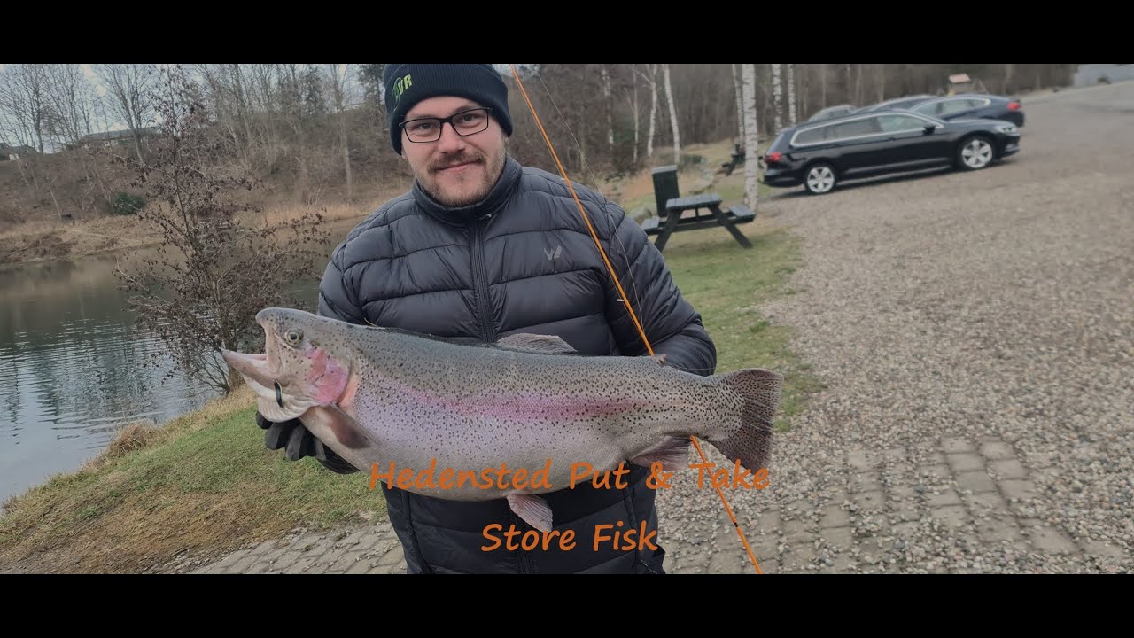 Big Fish i Hedensted Put and Take, Tips og Tricks - YouTube