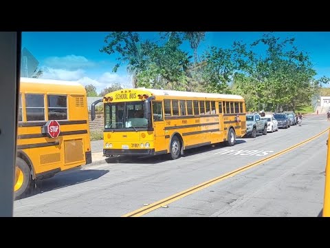 Blue Bird, Thomas, Thomas HDX & International School Buses at Trabuco ...
