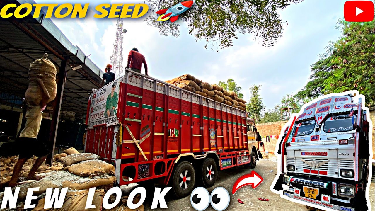 COTTON SEED LOADING FOR AMBALA PUNJAB 🚀 LOADING COMPLETE ||shezuvlogs ...