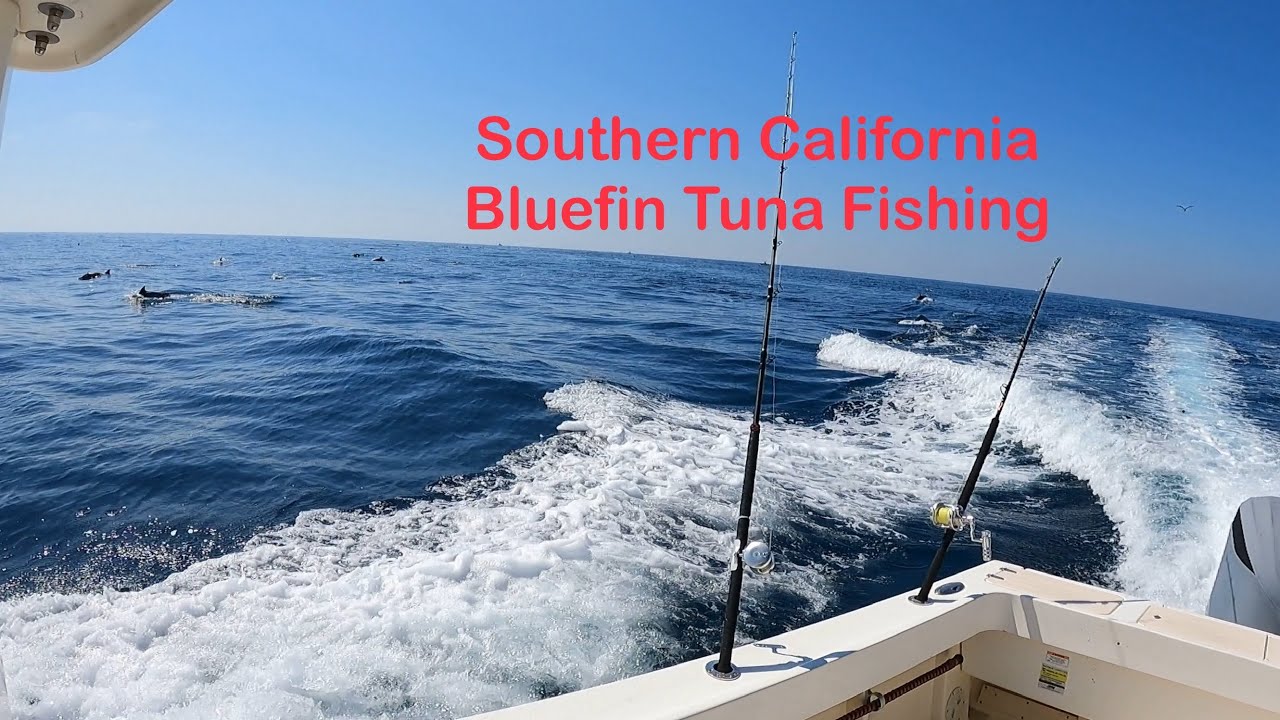 Bluefin Tuna Fishing Southern California - YouTube