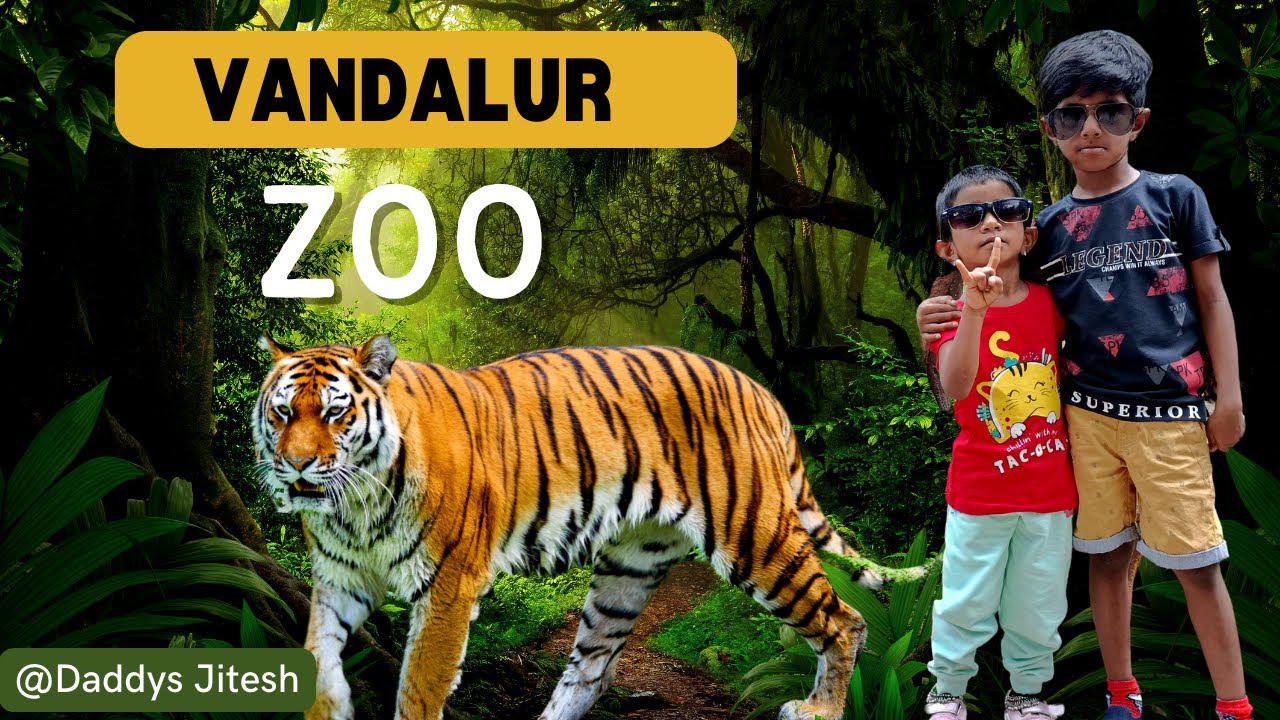 VANDALUR ZOO | CHENNAI ZOO 2023 | Arignar Anna Zoological park ...
