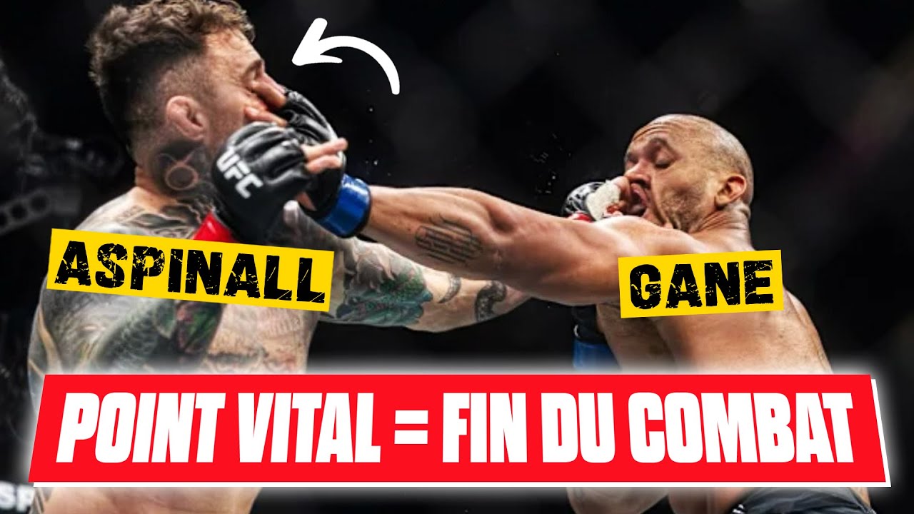 GANE vs ASPINALL : l’eye-poke qui révèle la vraie différence entre MMA ...
