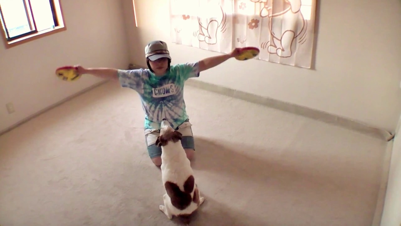 One day's practice tricks - YouTube