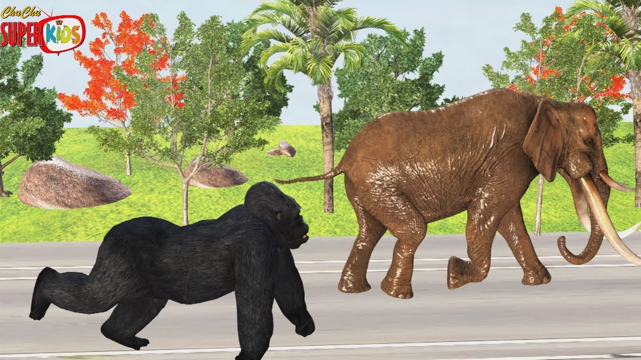 Animals Race | Fun Videos For Kids | ChuChu Super Kids - YouTube