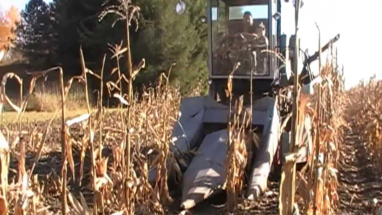 1965 Gleaner E corn '12 - YouTube